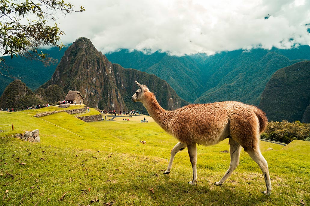 Historia de Machu Picchu Historia de Machu Picchu